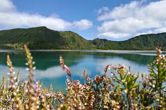 Lagoa do Fogo Walking Tour with Lunch from Ponta Delgada - Analyzing the Value