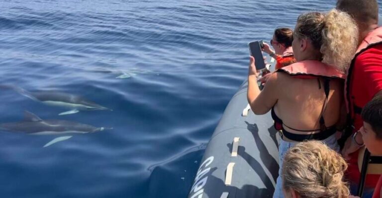 Lagoa: Dolphins Expedition with biologist guide on board - Why This Tour Offers Excellent Value