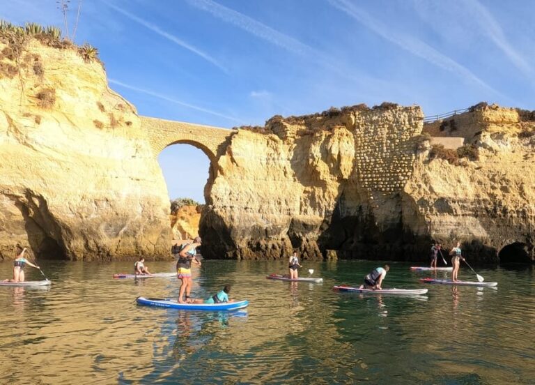 Lagos: Guided SUP Tour to Ponta da Piedade Caves - Final Thoughts on Value and Suitability