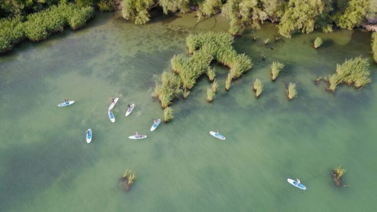 Lake Balaton: Paddle Board Tour of Tihany National Park - The Experience Breakdown