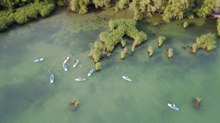 Lake Balaton: Paddle Board Tour of Tihany National Park - The Experience Breakdown