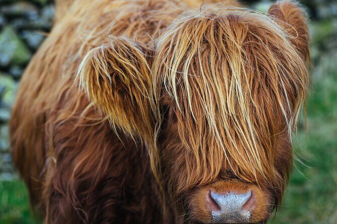 Lake District from Manchester Including Lake Cruise - Is It Worth the Price?