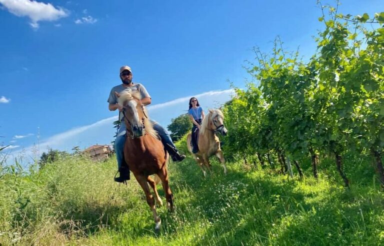 Lake Garda: 2 hours Horseback Ride in the Countryside - The Sum Up