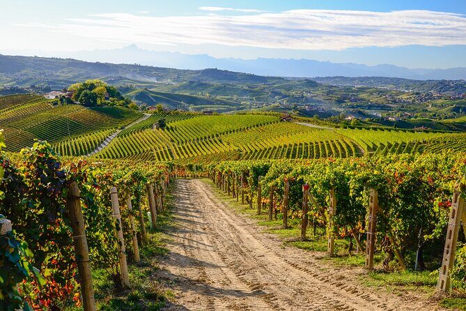 "Langhe del Barolo" Private E-bike Tour - Asphalt and Dirt Road - Practical Details and What to Expect