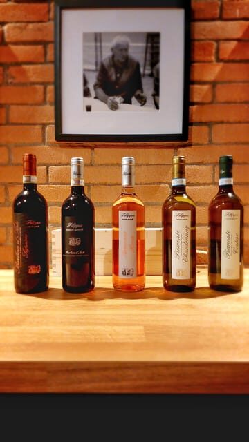 Langhe e Monferrato: Tour & Wine tasting of Agliano Wines - Bottling and Packaging Room