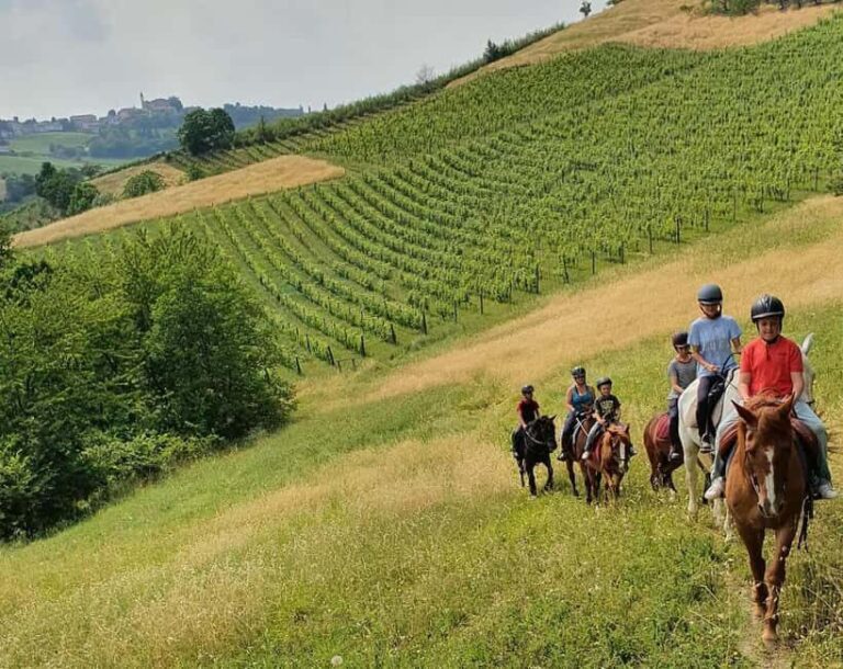 Langhe: Horse Riding in the Vineyards - What’s Not Included and What to Bring