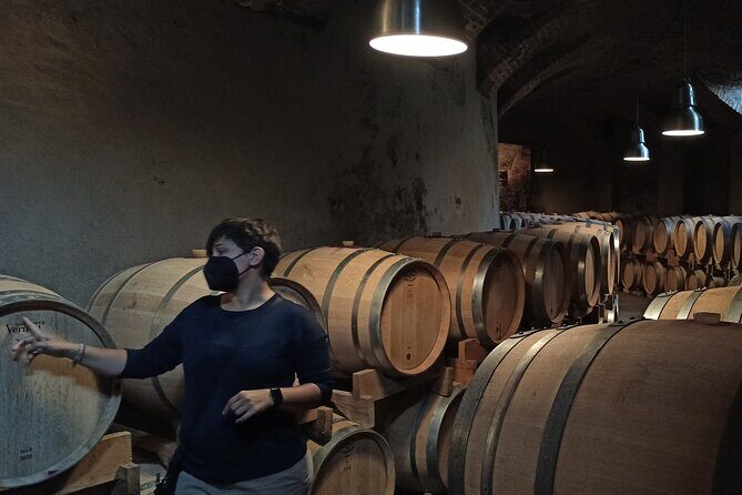 Langhe Wine & Food Tour from Turin: Barolo and More - The Value of This Tour