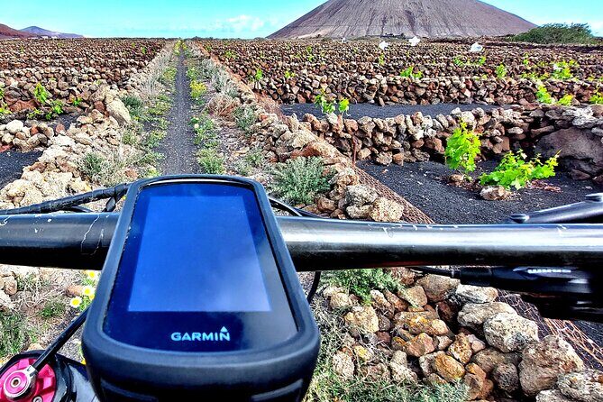 Lanzarote E-Bike Tour: Volcano Craters & Scenic Vineyards - Who Will Love This Experience?