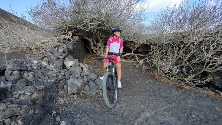 Lanzarote: Guided ebike tours of the Timanfaya volcanoes - An In-Depth Look at the Tour