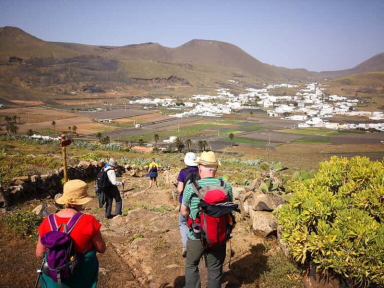 Lanzarote: Northern Cliffs & Valleys Walking tour - Final Thoughts: Is This Tour Right for You?