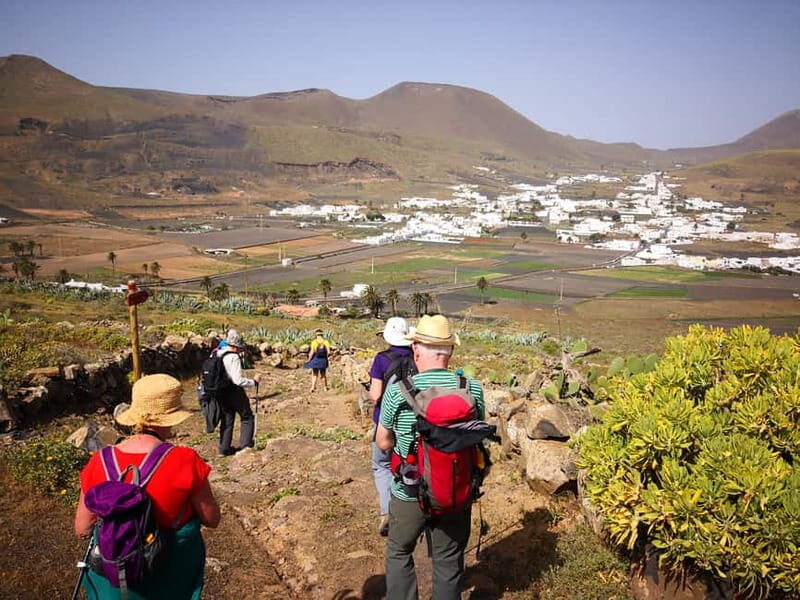 Lanzarote: Northern Cliffs & Valleys Walking tour - Final Thoughts: Is This Tour Right for You?