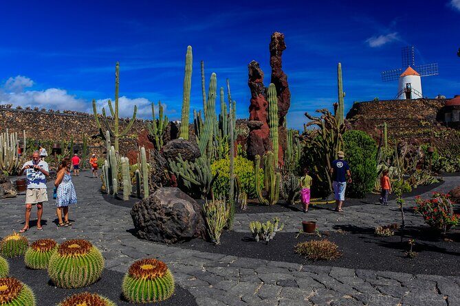 Lanzarote Tour: Lagomar Museum, Cactus Garden & La Graciosa - Practical Tips for Your Tour Day