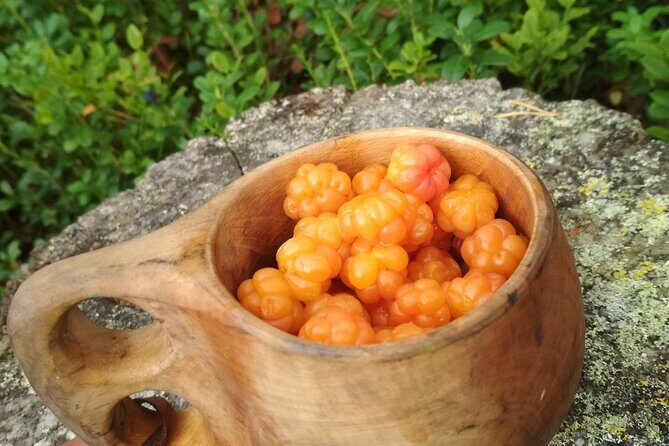 Lapland Berry Day Experience - The Guides and Group Dynamics