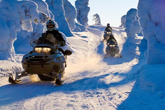 Lapland Family Snowmobile Safari from Rovaniemi - Practical Tips for Travelers