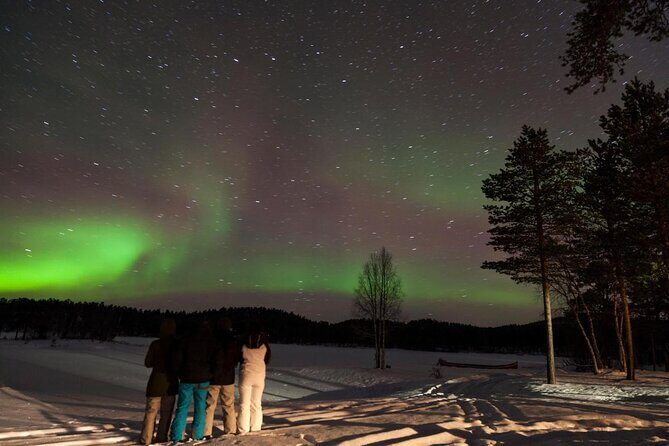 Lapland Husky Safari from Saariselkä - Authentic Experiences and Reviews