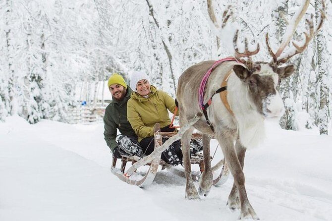 Lapland Reindeer and Husky Safari from Levi - Is It Worth the Price? Breaking Down the Value