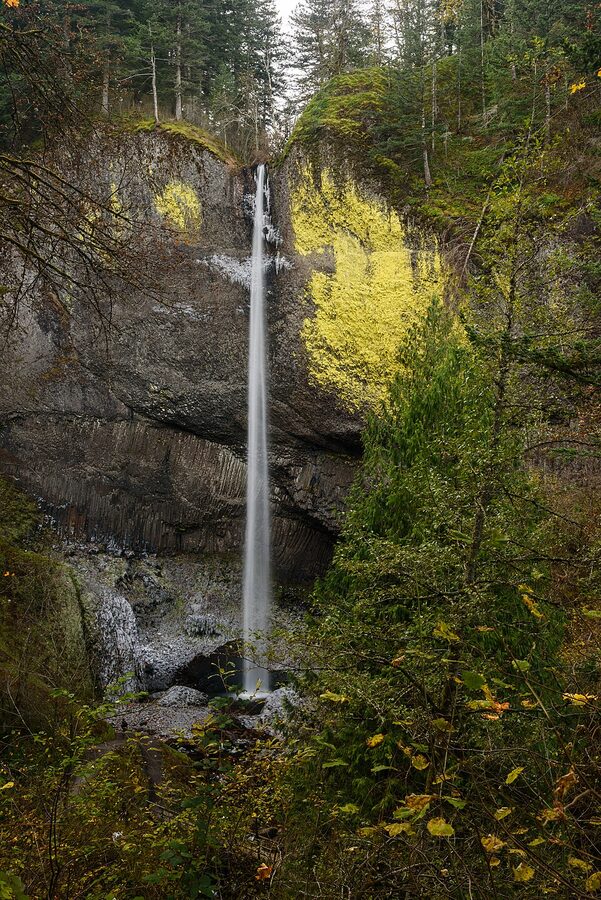 Latourell Falls with columnar basalt cliff