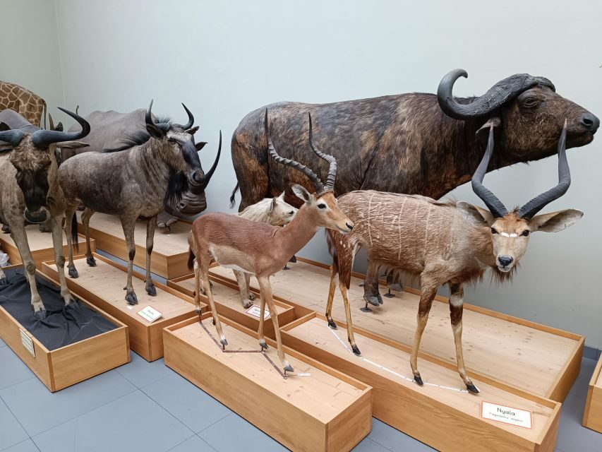 Lausanne: Private Walking Tour with a Local Guide - Final Thoughts