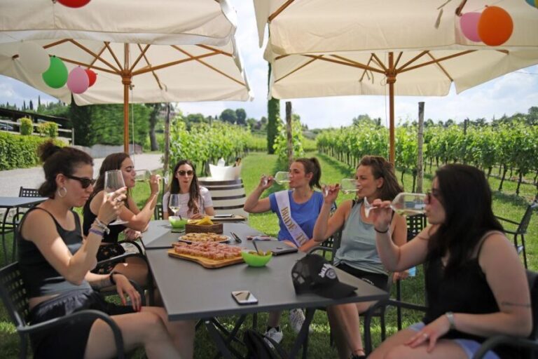 Lazise: Bike Tour and Wine Tasting - A Deep Dive into the Lazise Bike and Wine Tasting Tour