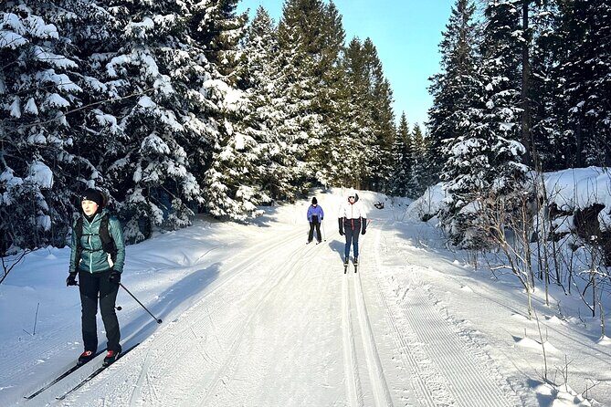 Learn Nordic Skiing - Private Class with Professional Instructor - Who is This Tour Best For?