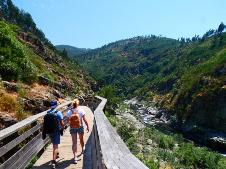 Leave Porto and go hiking in the Paiva Walkways, Arouca - Why This Tour Offers Good Value