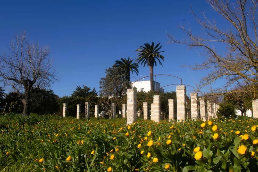 Lecce: Countryside Vineyard Walk & Wine Tasting - Why This Experience Is Truly Unique