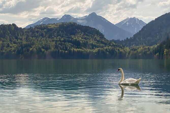 Legendary Experience of Neuschwanstein Castle - Starting the Day: Munich Central Station & the Scenic Train Ride