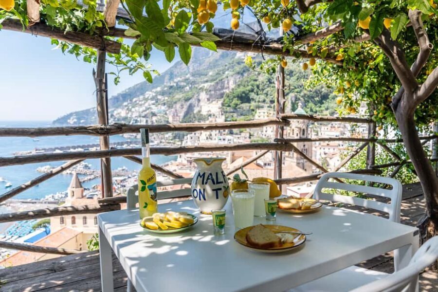 Lemons & Breathtaking Views: Amalfi Monumental Garden Tour - A Deep Dive into the Amalfi Lemon Garden Experience