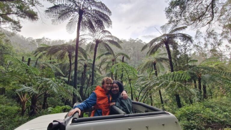 Let-Me-Surprise-You Madeira Full Day Private Tour - Transportation and Logistics