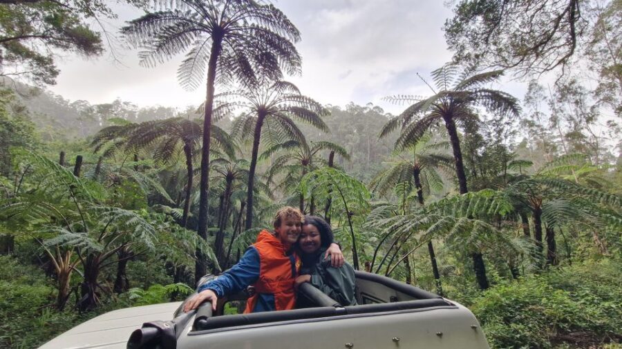 Let-Me-Surprise-You Madeira Full Day Private Tour - Transportation and Logistics