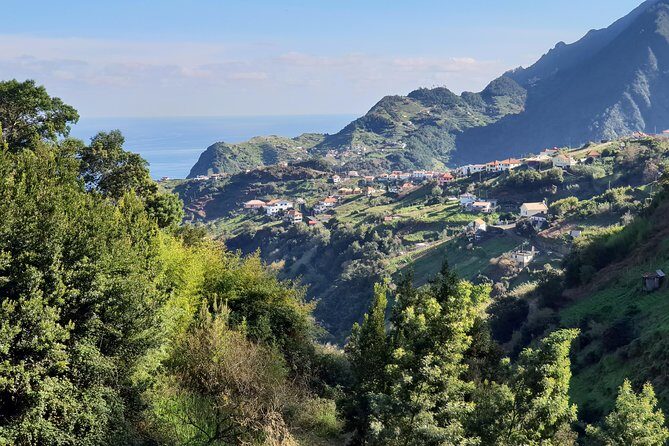 Levada da Referta - Castelejo - What to Expect on the Tour Day