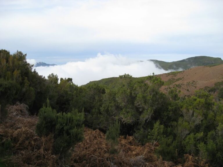 Levada do Alecrim (Madeira Lakes) Full-day walk - Transportation and Practical Details