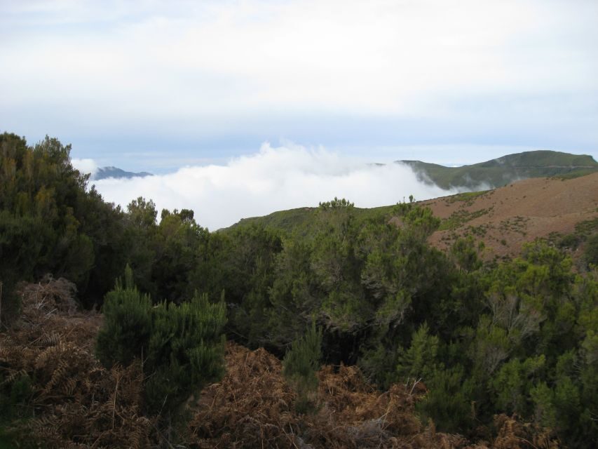 Levada do Alecrim (Madeira Lakes) Full-day walk - Transportation and Practical Details