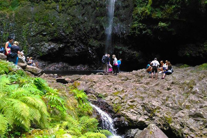 Levada do Caldeirão Verde Levada Walk from Funchal - The Real Value of the Tour