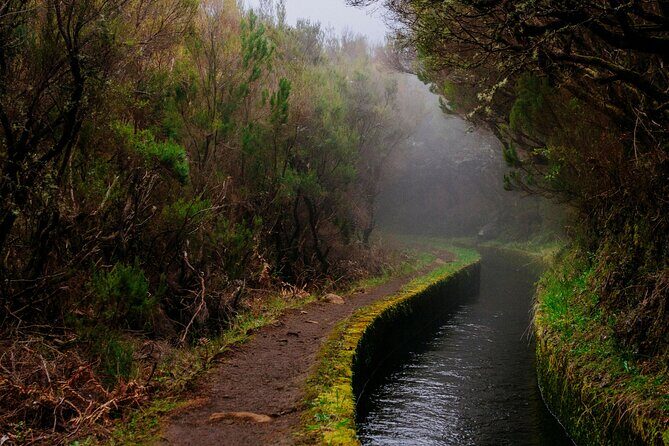 Levada do Rei PR18 Scenic Hike in Madeira with Transfer Service - Detailed Breakdown of the Itinerary