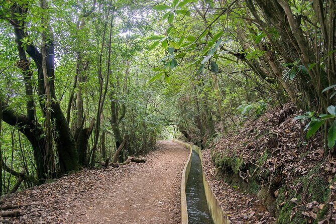 Levada Walk from Ribeiro Frio to Portela - Practical Tips for Making the Most of Your Day