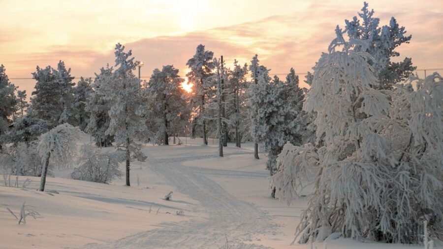 Levi: 4 Hour Snowmobile Safari to the Fells in Levi - The Itinerary in Detail