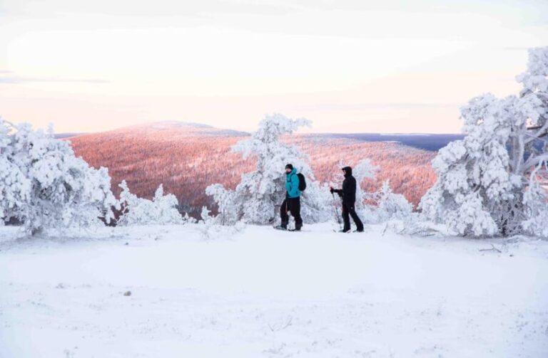 Levi: Guided Snowshoeing Adventure - Who Is This Tour Best For?