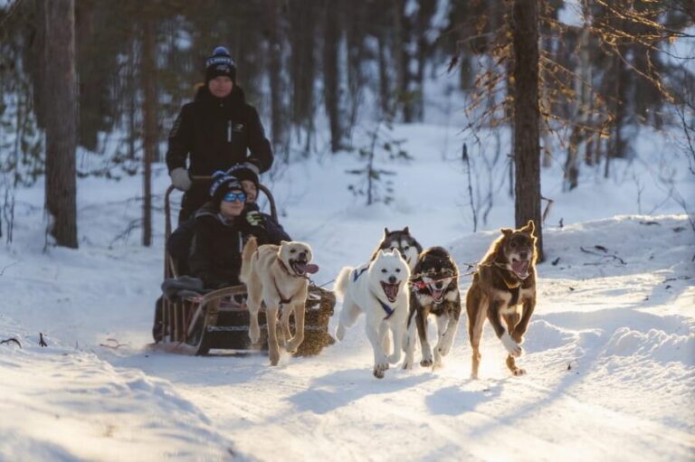 Levi: Husky Adventure Self-Drive Safari 15km - FAQ