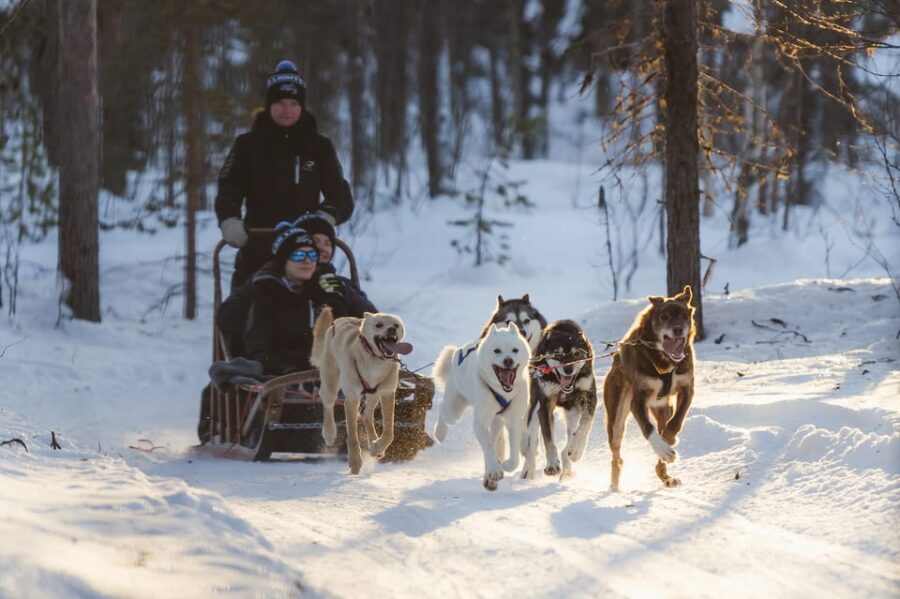 Levi: Husky Adventure Self-Drive Safari 15km - FAQ