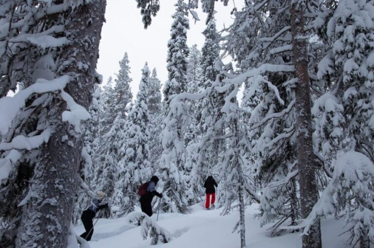 Levi: Lakeside forest snowshoeing - Exploring the Frozen Lake