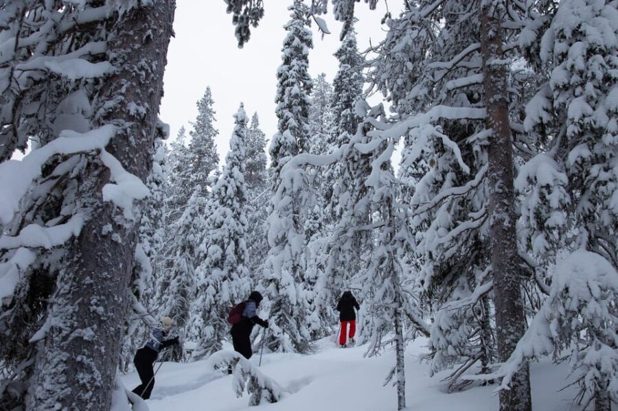 Levi: Lakeside forest snowshoeing - Exploring the Frozen Lake