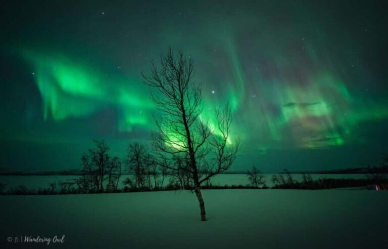 LEVI Night Star Walk on Snowshoes (ALL INCLUDED) - How the Tour Works: A Step-by-Step Breakdown