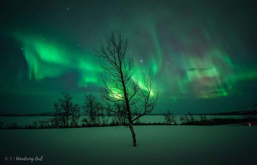 LEVI Night Star Walk on Snowshoes (ALL INCLUDED) - How the Tour Works: A Step-by-Step Breakdown