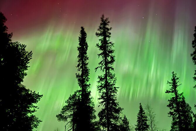 Levi Northern Lights Experience - What to Expect During the Experience