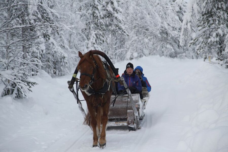 Levi: One Horse Open Sleigh Ride - The Value of the Experience
