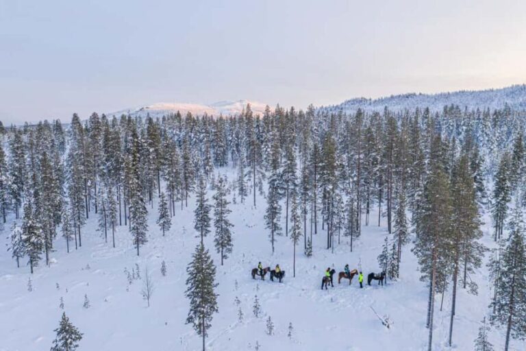 Levi: Riding Trek with Icelandic Horses - Key Points