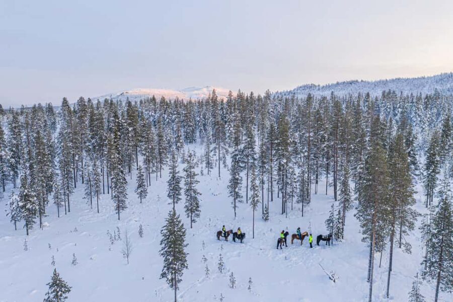 Levi: Riding Trek with Icelandic Horses - Key Points