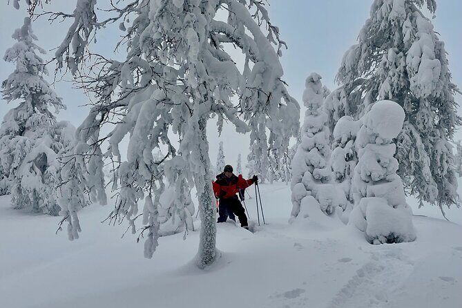 Levi: Snowshoeing adventure in the National Park - Who Should Consider This Tour?