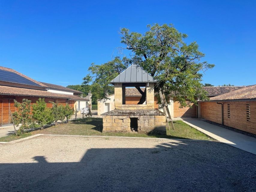 Libourne : visite et dégustation de vin au cur de Libourne - Why This Tour Is Worth Considering